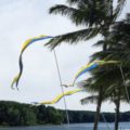 Two-Color Bird Deterrent Kit - Kalamazoo Flag Company